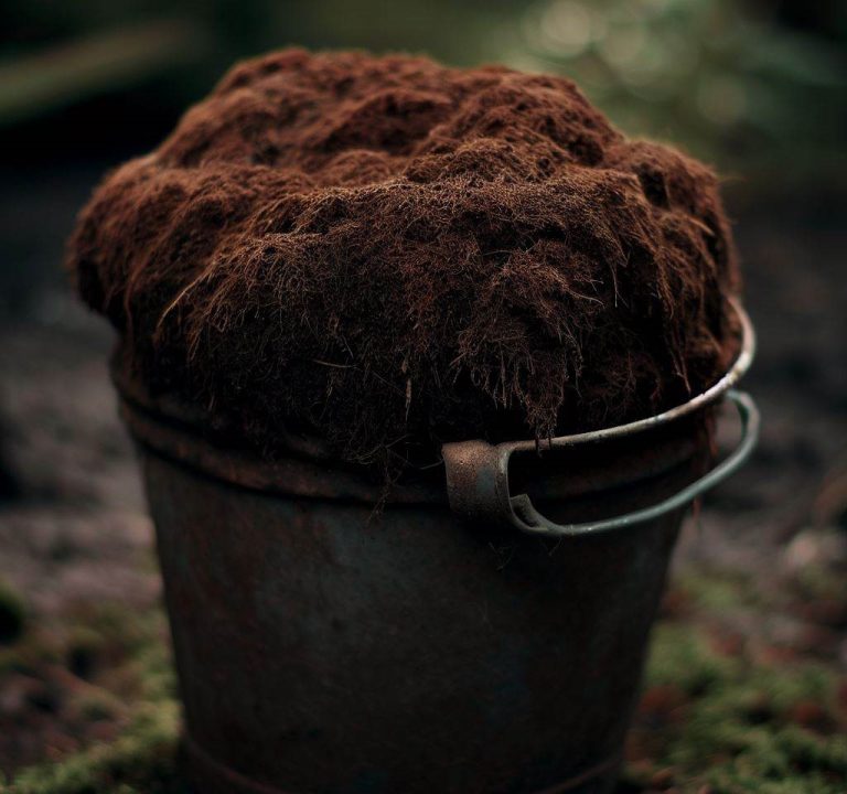 Greenhouse Soil and Growing Mediums - Greenhouse-Guide